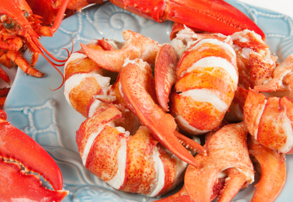 Waterfront Restaurants - Newport Harbor Island Resort, RI