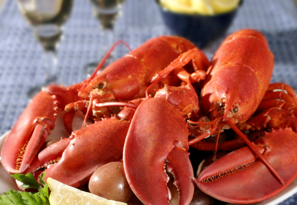 Torpedo Bar & Lounge - Newport Harbor Island Resort